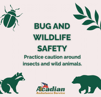 Stay Safe with Wildlife and Insect Safety Tips | Acadian Companies